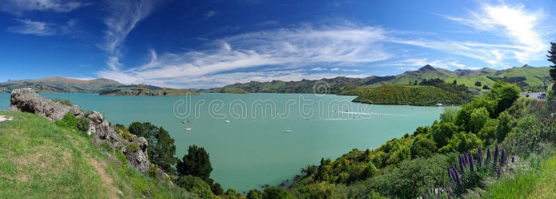 Cass Bay Landscape Panorama Stock Image - Image of trees, lyttleton ...