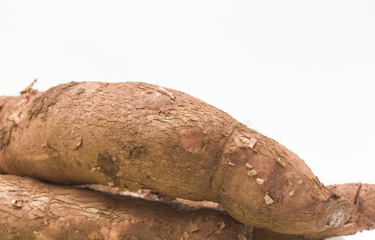 713 Yuca Cassava Root Flour Stock Photos - Free & Royalty-Free Stock ...