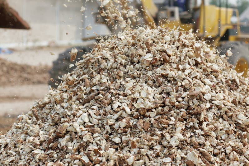 Wet Cassava Waste From Tapioca Starch Factory. Stock Image - Image of ...