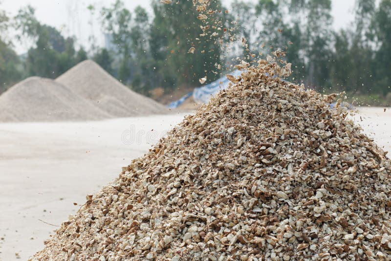 Wet Cassava Waste From Tapioca Starch Factory. Stock Image - Image of ...