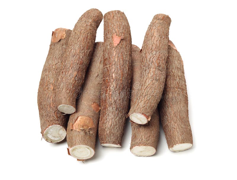 Cassava stock photo. Image of mioca, slice, background - 137451462