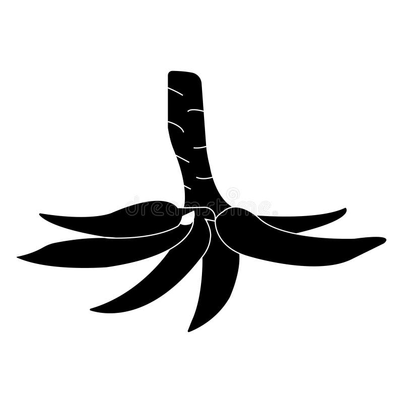 Cassava icon stock vector. Illustration of icon, graphic - 290990472