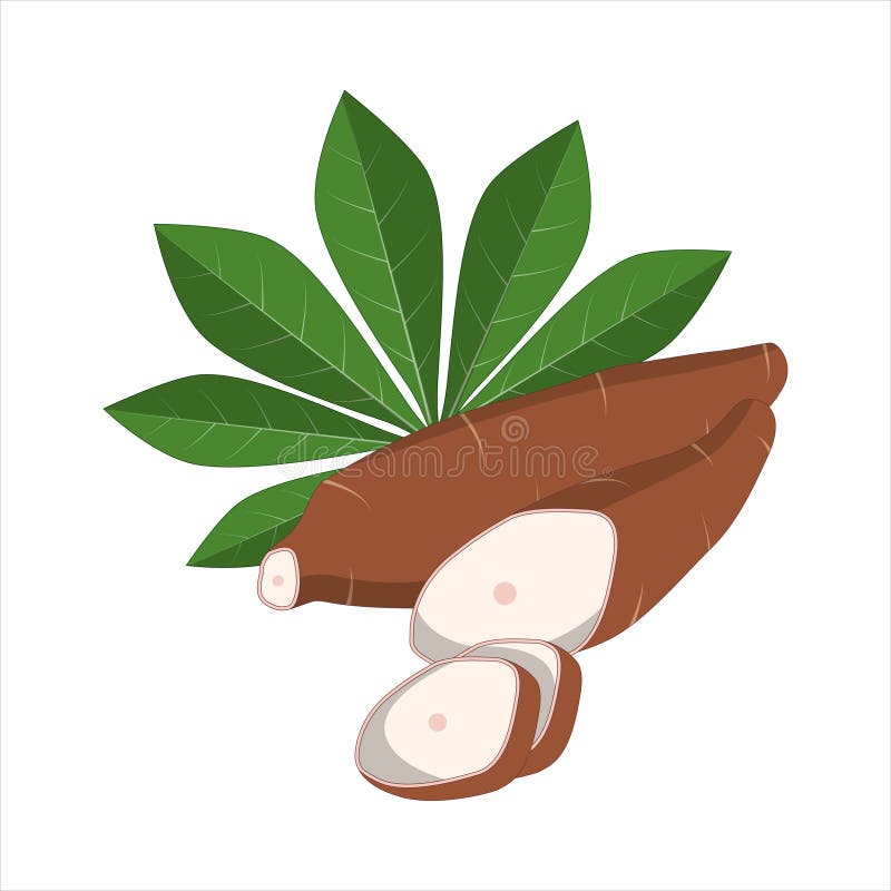 Art Cassava Leaves Stock Illustrations – 139 Art Cassava Leaves Stock ...