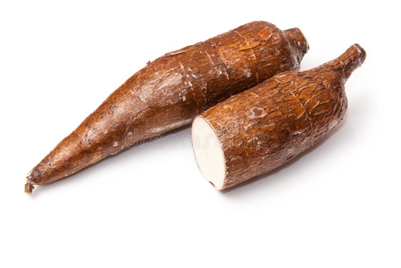 Cassava or Manioc roots stock image. Image of vegetable - 43666965