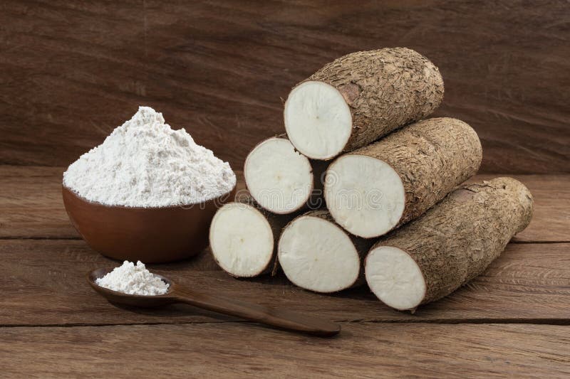 Cassava Organic Cassava Starch Raw - Manihot Esculenta Stock Photo ...