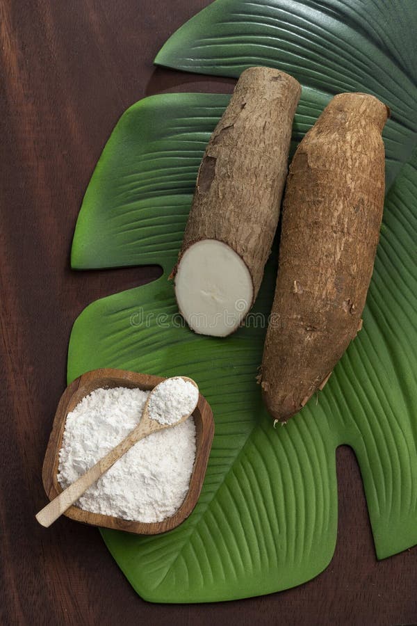 Cassava Organic Cassava Starch Raw - Manihot Esculenta Stock Photo ...