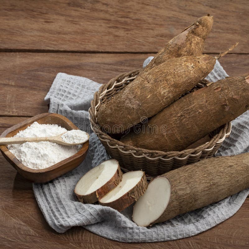 Cassava Organic Cassava Starch Raw - Manihot Esculenta Stock Image ...