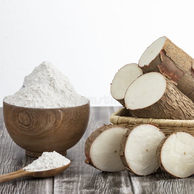 Cassava Organic Cassava Starch Raw - Manihot Esculenta Stock Image ...