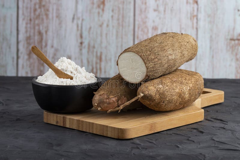 Cassava Organic Cassava Starch Raw - Manihot Esculenta Stock Photo ...