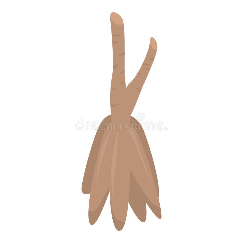 Cassava Plant Icon, Isometric Style Stock Vector - Illustration of ...