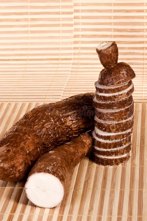 Cassava Root Picture. Image: 20165159