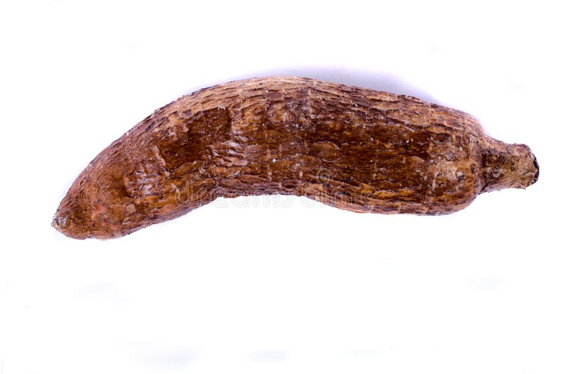 Cassava Root Picture. Image: 20165159