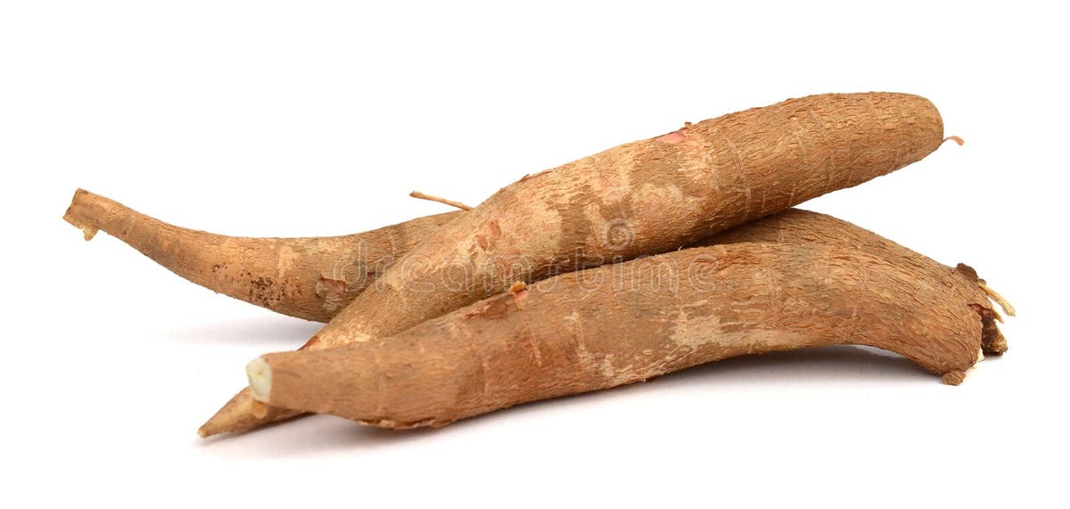 260 Fresh Cassava Slices Stock Photos - Free & Royalty-Free Stock ...