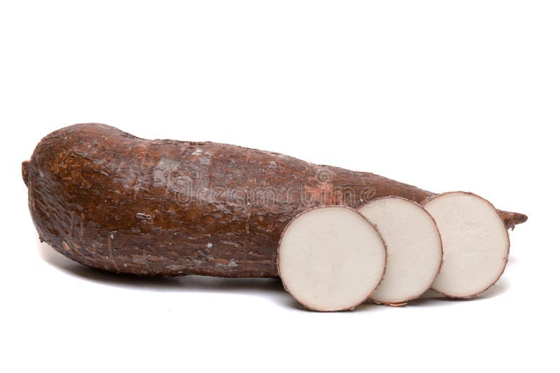 Cassava Root Picture. Image: 20165159