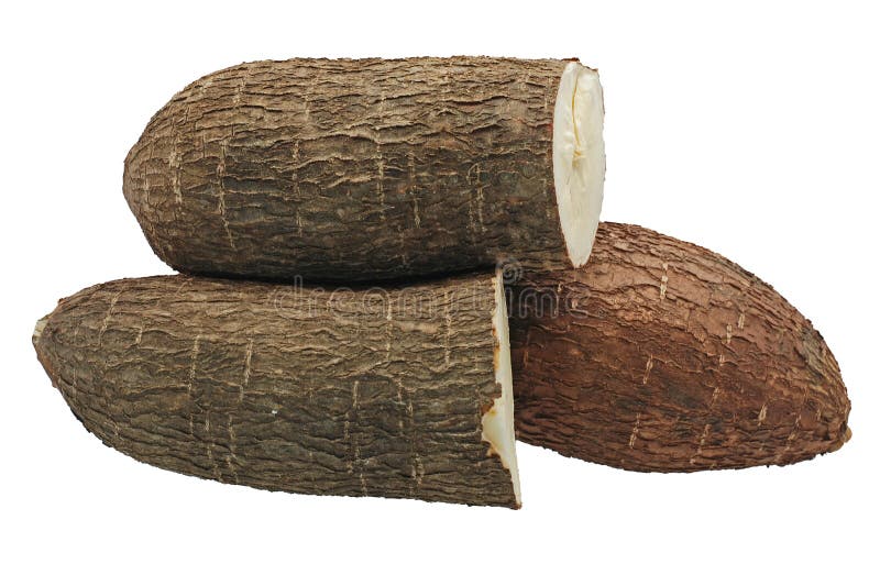 156 Cassava Peel Texture Photos - Free & Royalty-Free Stock Photos from ...