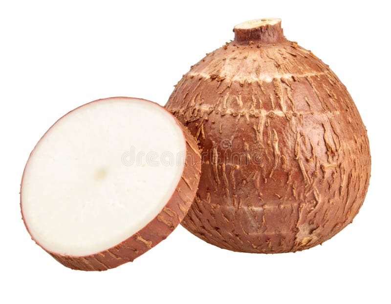 Cassava Root Pile, on a Background of Gray and White Texture (Manihot ...