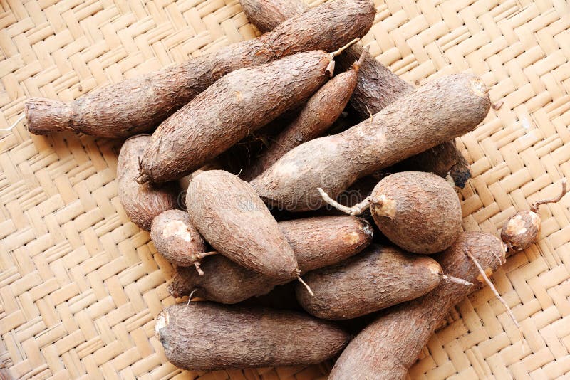 Baked Tapioca (Cassava Root) Stock Photo - Image of cake, grow: 70054802