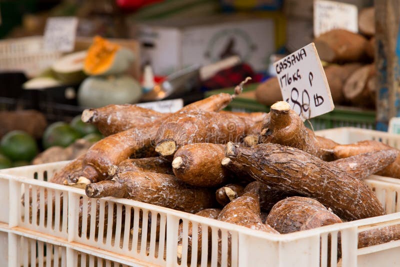 22,430 Cassava Stock Photos - Free & Royalty-Free Stock Photos from ...