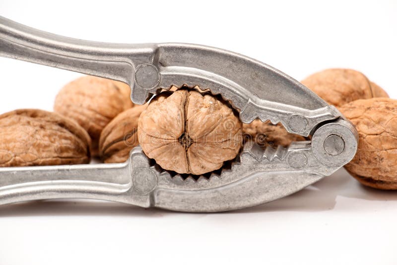 Casse-noix avec la noix photo stock. Image du fond, noix - 22758592