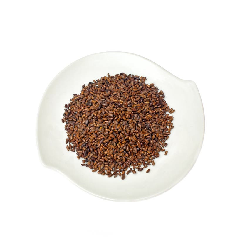 Cassia seeds stock image. Image of herbal, jueminzi, medicine - 23115341