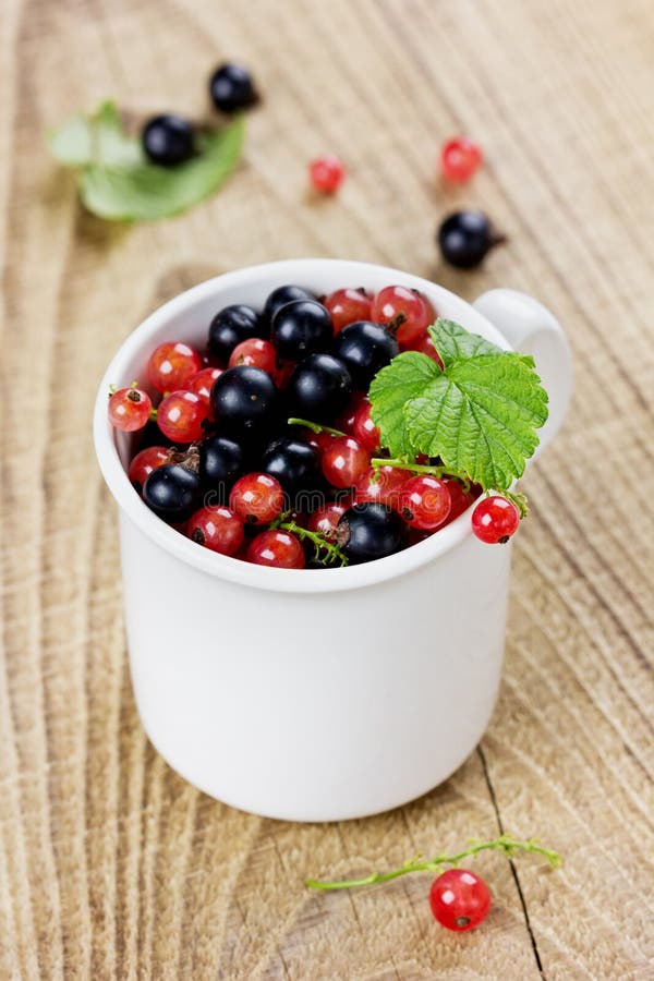 Cassis Et Groseille Rouge Dans Une Tasse Blanche Image stock - Image du ...