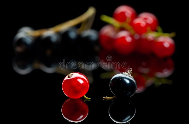 Cassis rouge et photo stock. Image du goût, corinthe - 18467154