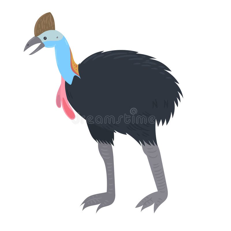 Cute Cassowary Bird Cartoon Vector Illustration Stock Vector ...