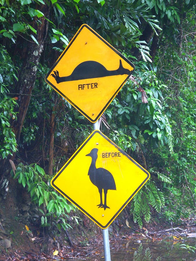 Cassowary Warning Sign In Queensland Australia Stock Photo - Image of ...