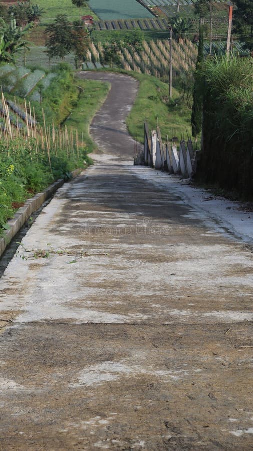 Cast Derivative Road Next To Fields in the Highland Area Stock Photo ...