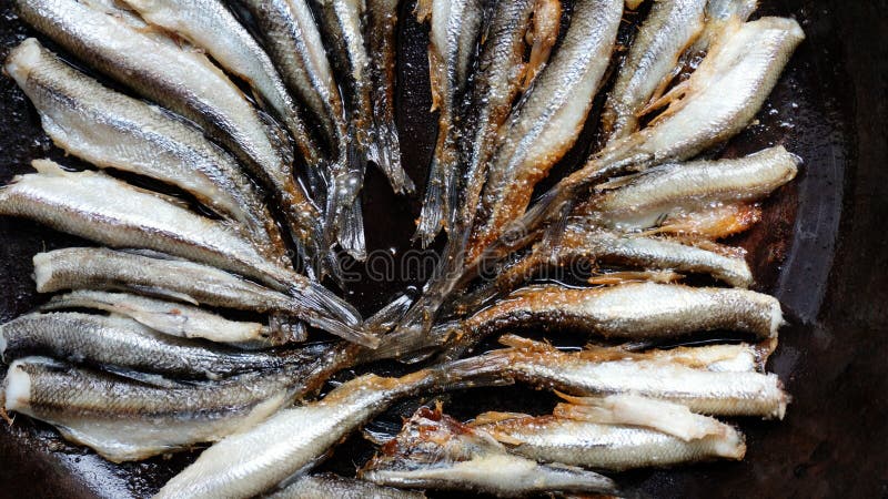 Cast-iron Pan for a Fire and Fried Small Fish Stock Photo - Image of ...