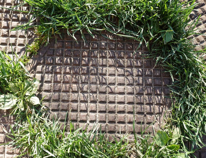 Cast Iron Tile Consisting of a Square Pattern. Tile Surrounded by Grass ...