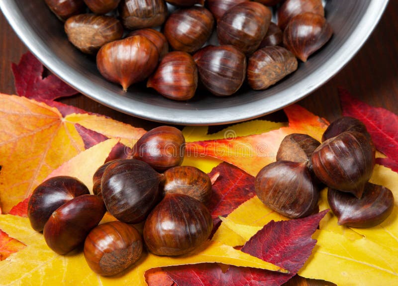Castagne fotografia stock. Immagine di novembre, chiusura - 37049868