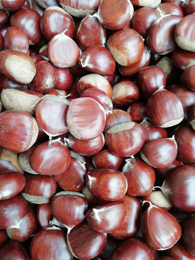 Jogo De Castanhas Diferentes No Branco Foto de Stock - Imagem de outono ...