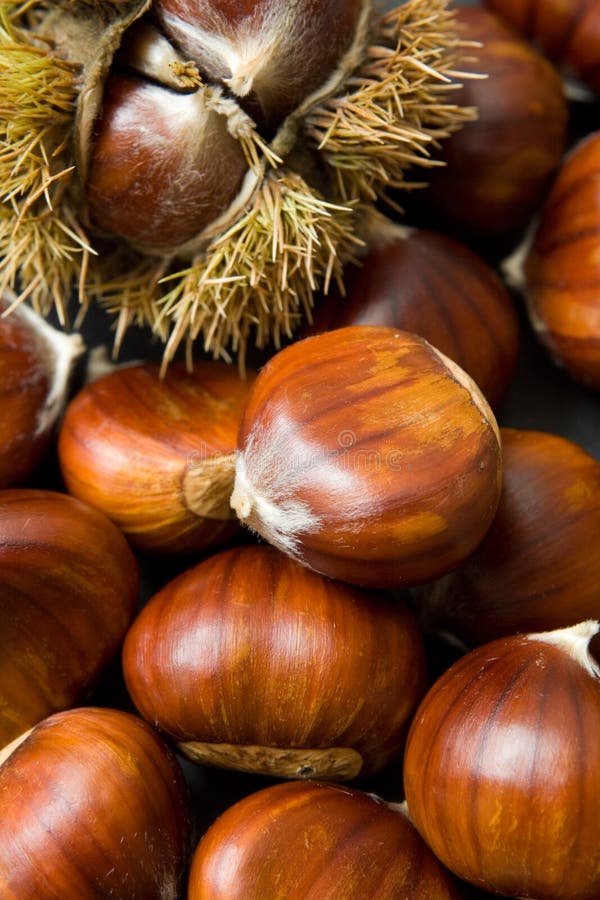 Castanhas imagem de stock. Imagem de fundo, empilhado - 2932639