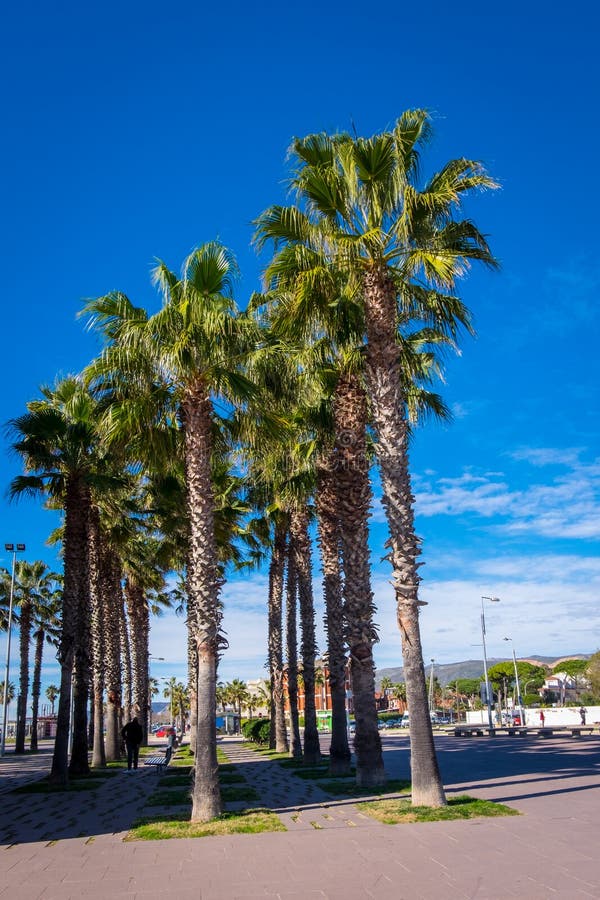 Castelldefels Beach in Barcelona, Catalonia, Spain Editorial Stock ...