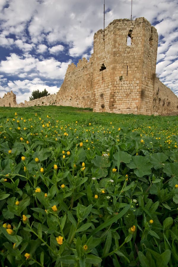 Castello Del Mare Dei Crociati Durante Il Tramonto Al Litorale Di Sidon ...