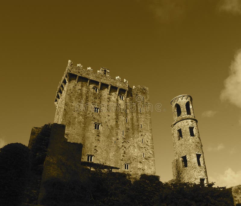 Castello Di Lusinga Con La Torre Immagine Stock - Immagine di ...