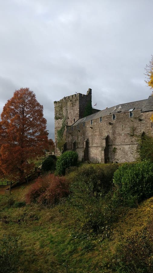 Castello Oxwich Di Lingua Gallese Gower Peninsula South Wales Regno ...