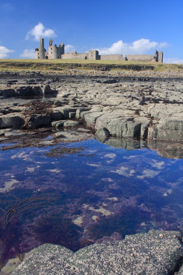 Castelo de Dunstanburgh foto de stock. Imagem de castelo - 20603982