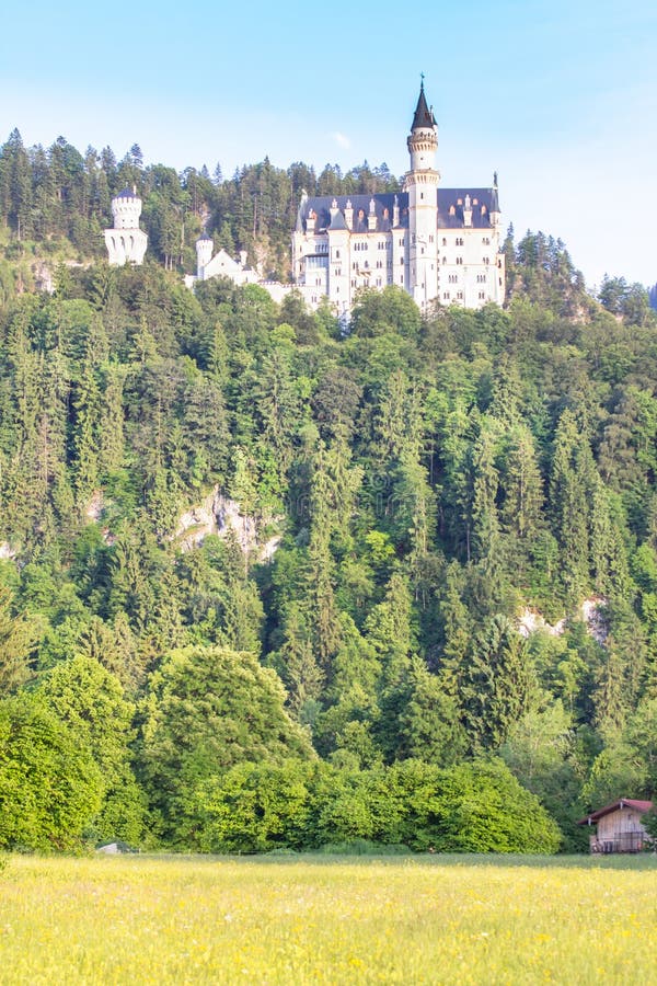 Castelo De Neuschwanstein Em Alemanha Fotografia Editorial - Imagem de ...