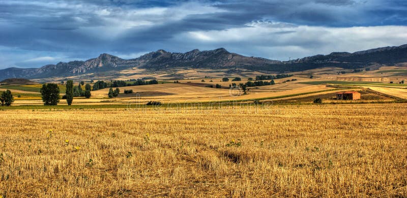 Castilla La Mancha Landscape