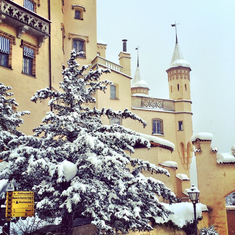 Castillo Amarillo En El Castillo De Hohenschwangau De La Nieve En ...