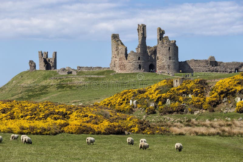 Castillo de Dunstanburgh imagen de archivo. Imagen de fortaleza - 31241919