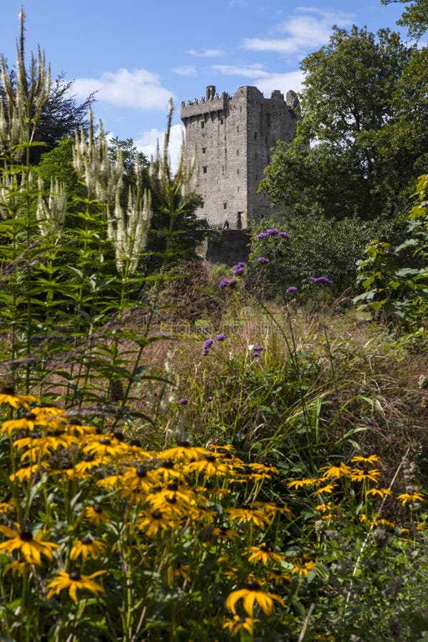 Castillo De La Lisonja En Irlanda Imagen de archivo - Imagen de ...