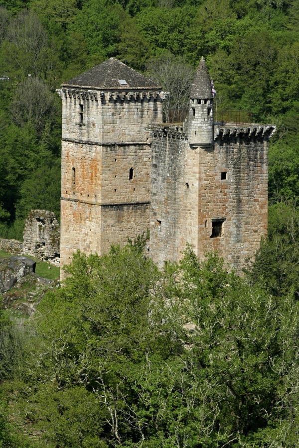 Castillo De Mediaval En Bosque Imagen de archivo - Imagen de torre ...