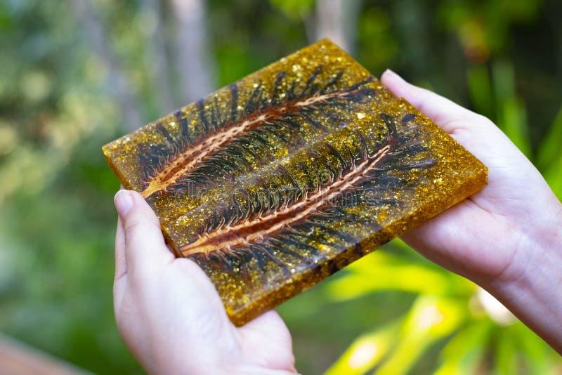 Casting Epoxy Resin Stabilizing Pine Cone Abstract Art Background Stock ...