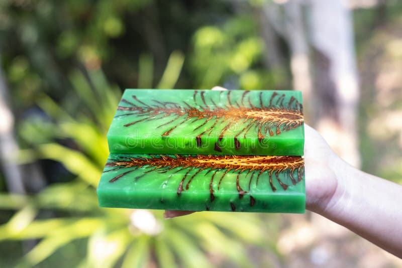 Casting Epoxy Resin Stabilizing Pine Cone Abstract Art Background Stock ...