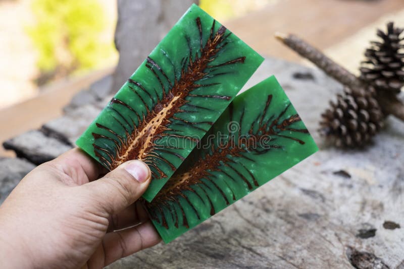 Casting Epoxy Resin Stabilizing Pine Cone Abstract Art Background Stock ...