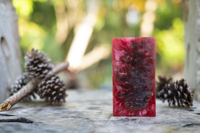 Casting Epoxy Resin Stabilizing Pine Cone Stock Photo - Image of ...