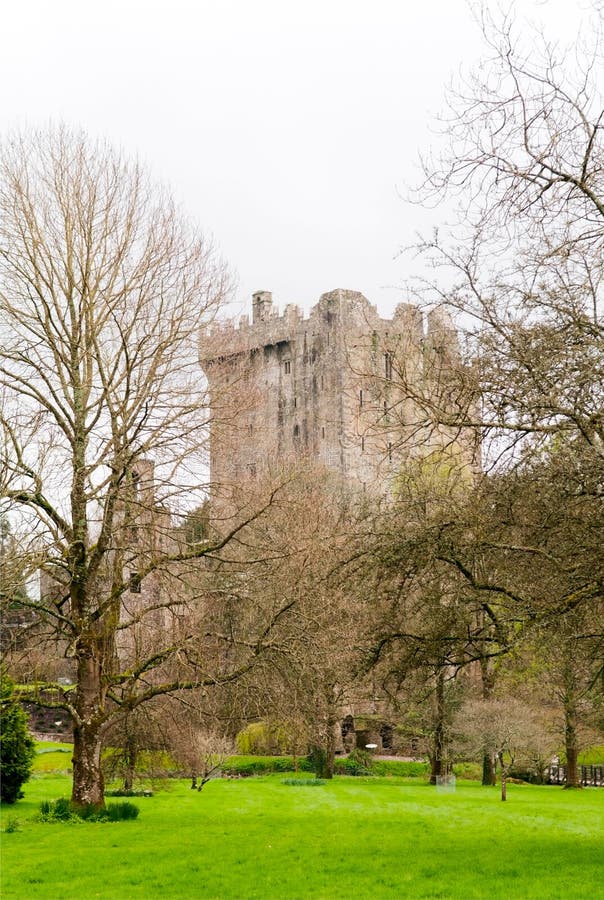 Overhead Aerial View of Blarney Castle,Ireland. Stock Photo - Image of ...